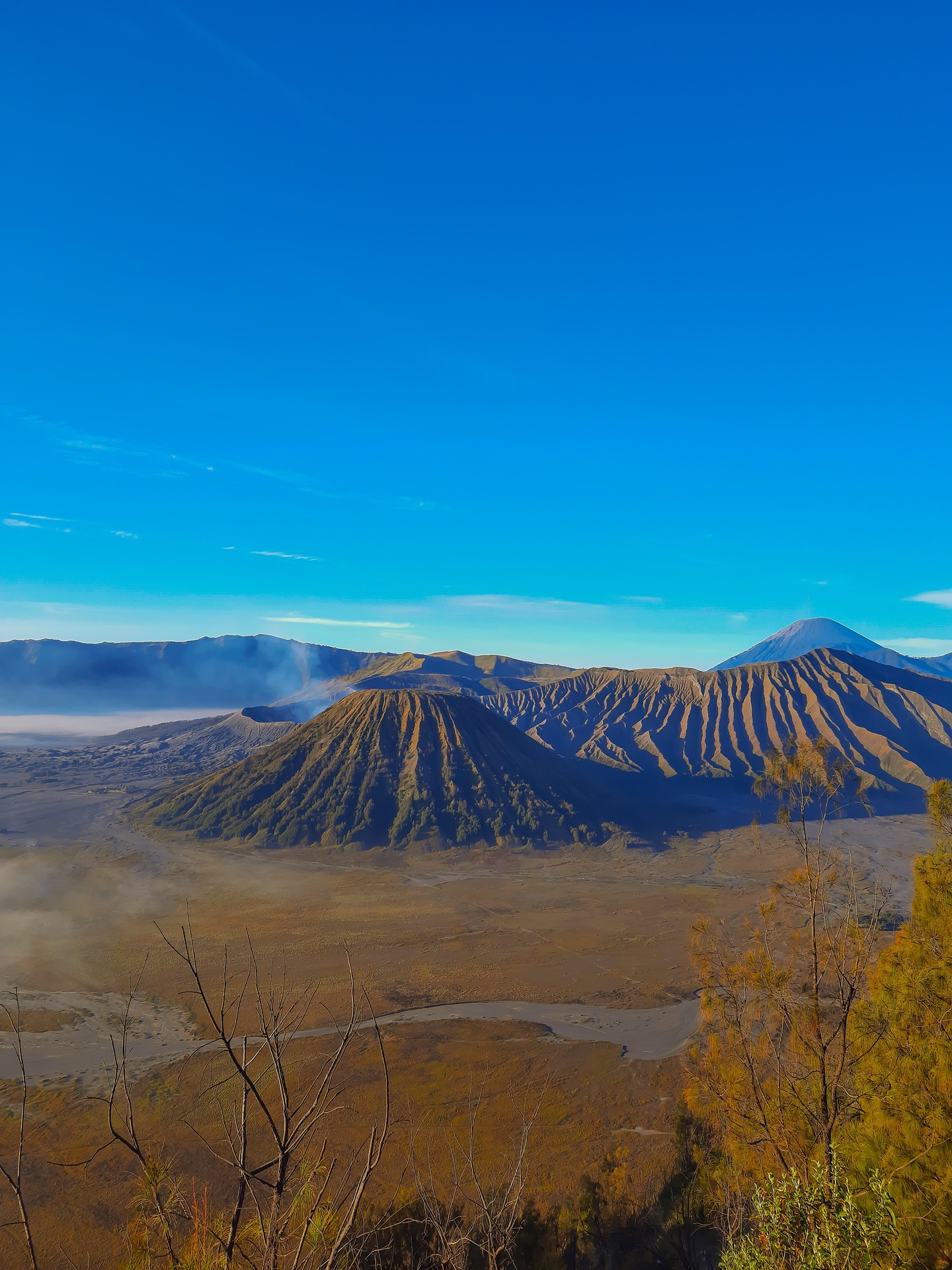 Panduan Lengkap Wisata Gunung Bromo 2025 - SawalaTrip